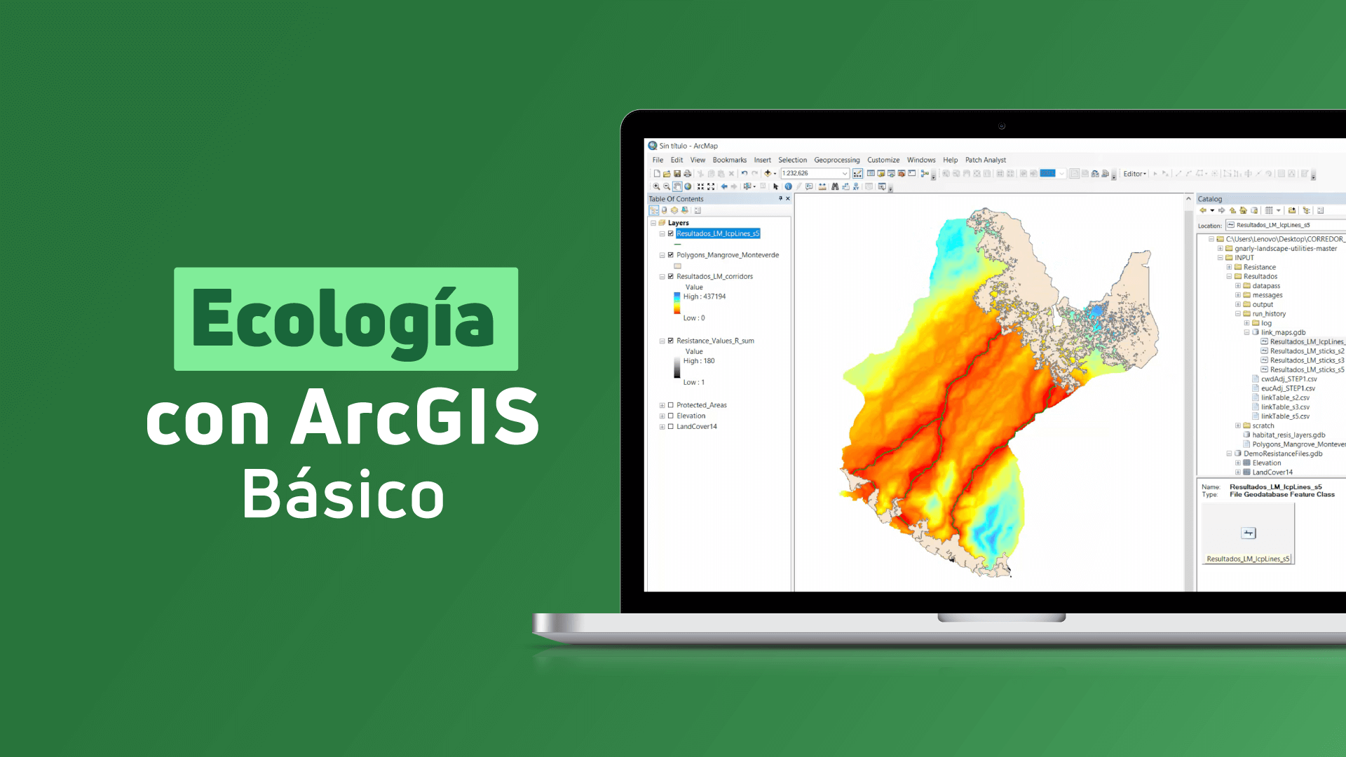 Curso de Ecología con ArcGIS Básico | MasterGIS